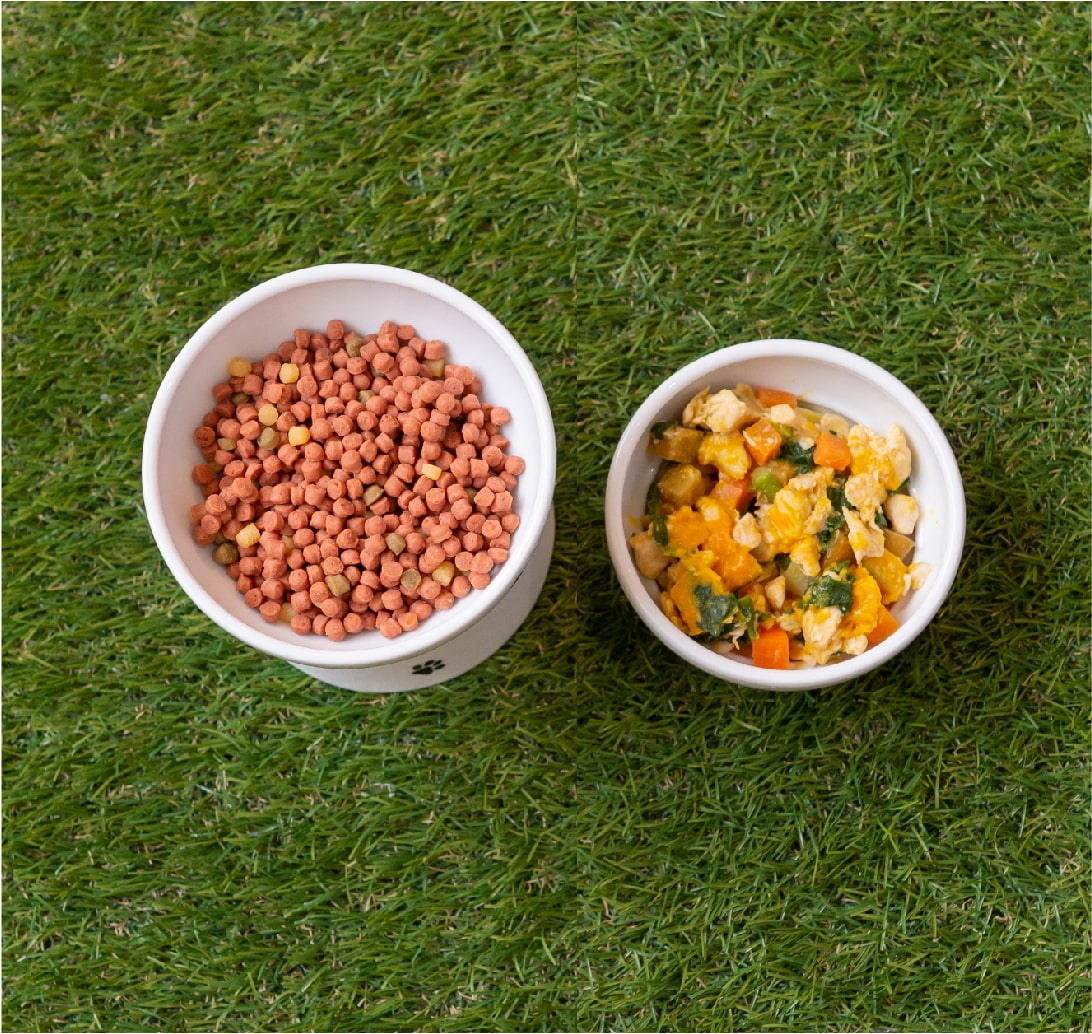 CoCo Gourmetの正しい使い方 | 獣医師監修の手作りドッグフード【公式】ココグルメ